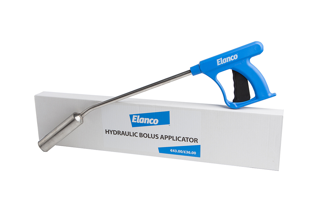 Home - Webshop A7 Noord dierenartsen